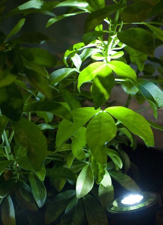 LED Strip Lights - Energy Efficiency | LED Warehouse